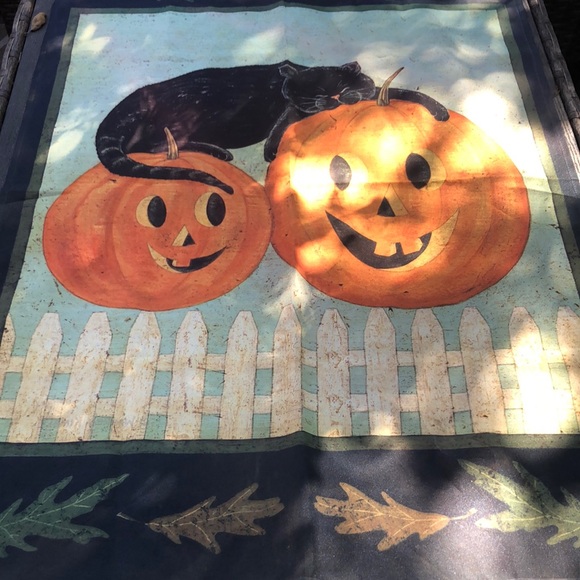 Toland | Holiday | Toland Y2k Flag | Poshmark